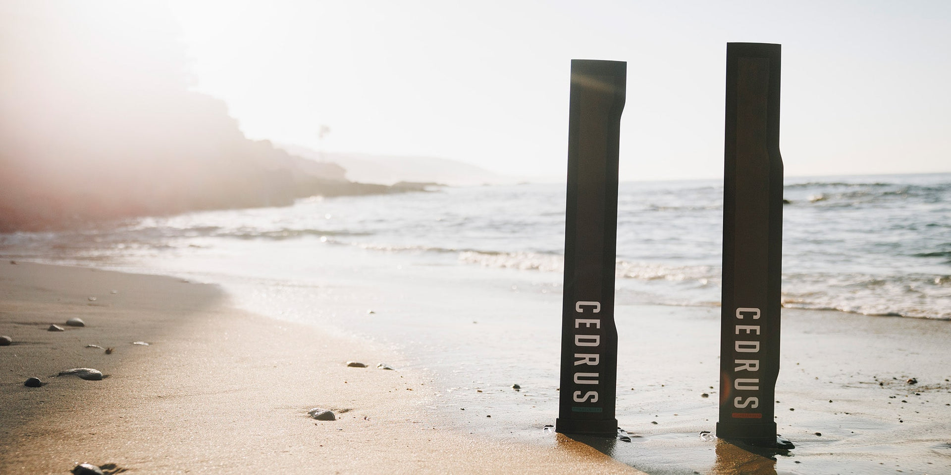 Collections – Foil Cedrus